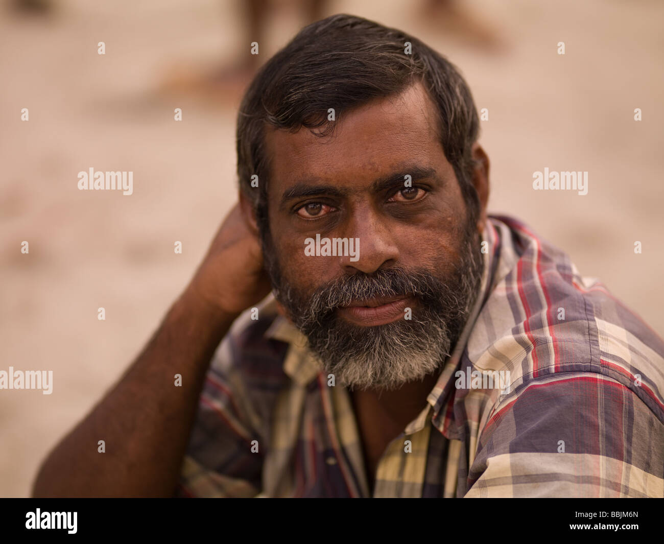 Man in a plaid shirt hi-res stock photography and images - Alamy