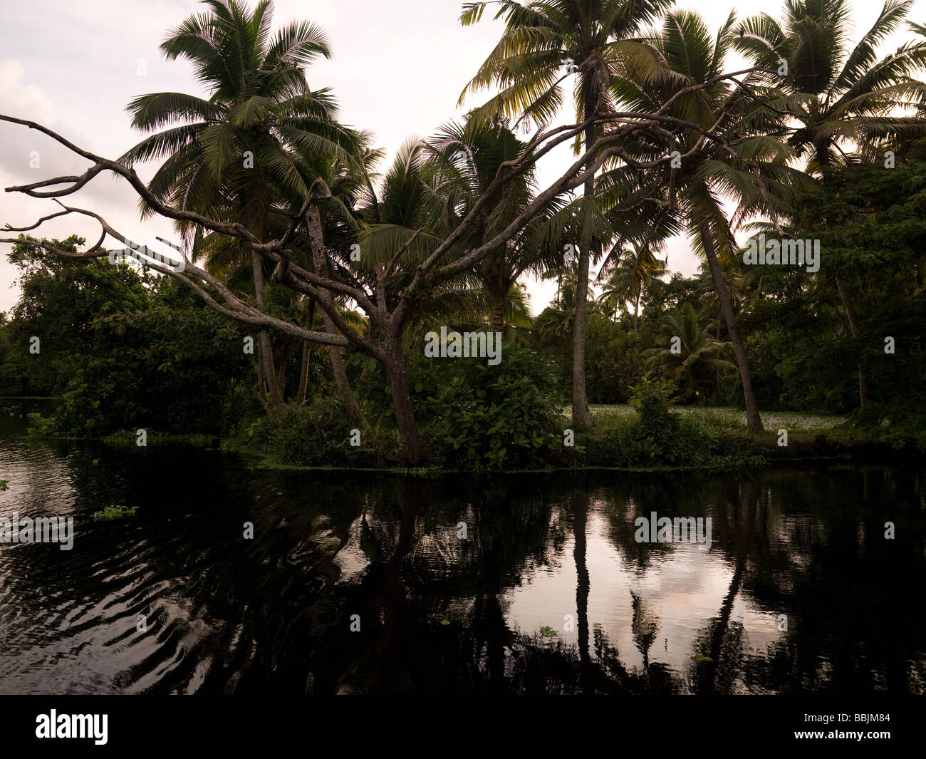 Lakes south shoreline hi-res stock photography and images - Alamy