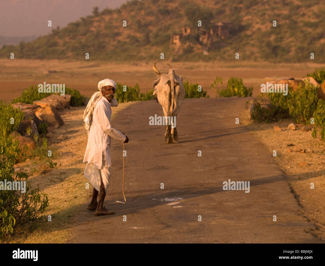 Indian man walking holding a stick Stock Photo - Alamy