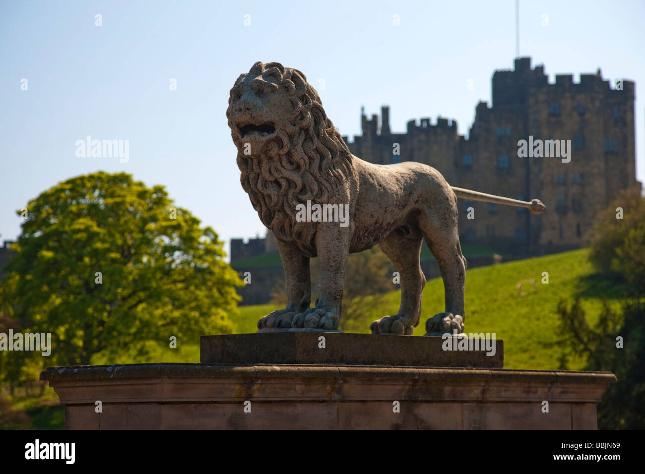 Alnwick lion hi-res stock photography and images - Alamy