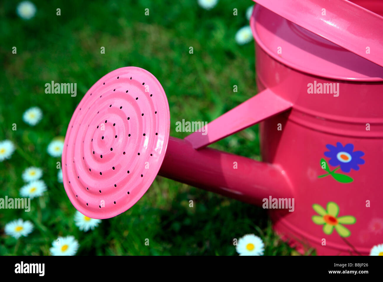 Pink watering can Stock Photo - Alamy