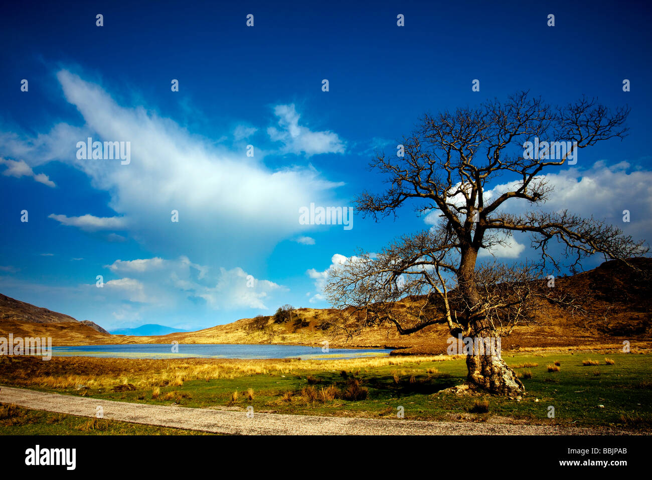 Remote scotland highlands hi-res stock photography and images - Alamy