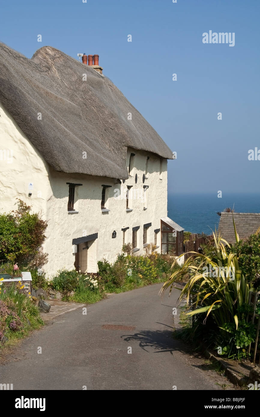 Thatched cottages, Cornwall, UK Stock Photo - Alamy