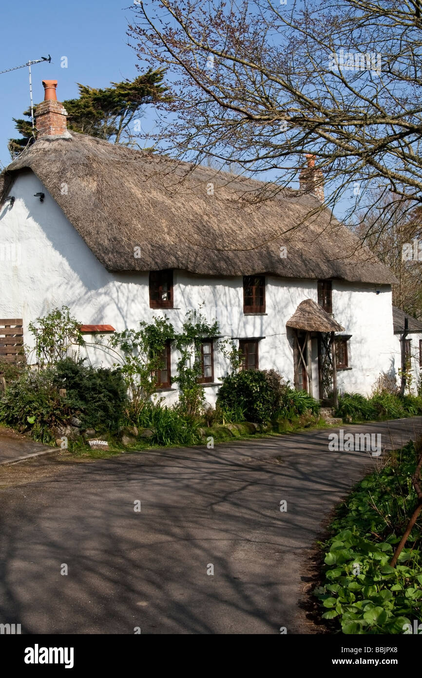 A thatched cottage, Cornwall Stock Photo - Alamy