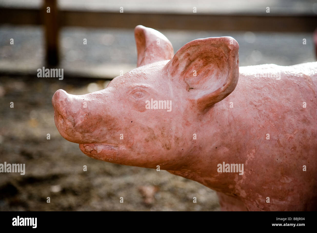 Pig Figure High Resolution Stock Photography and Images - Alamy