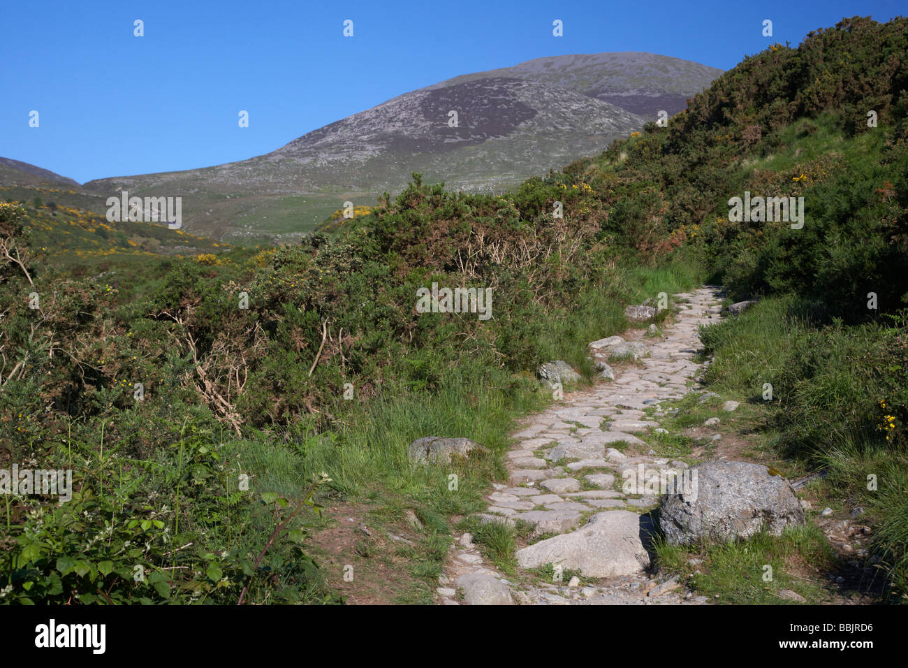 Brandy pad mourne mountain hi-res stock photography and images - Alamy