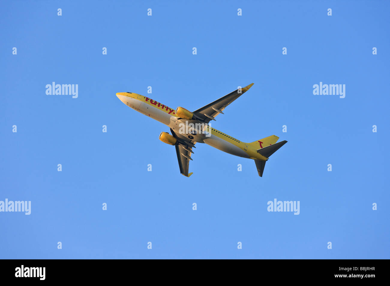 Boeing 737 800 airplane hi-res stock photography and images - Alamy