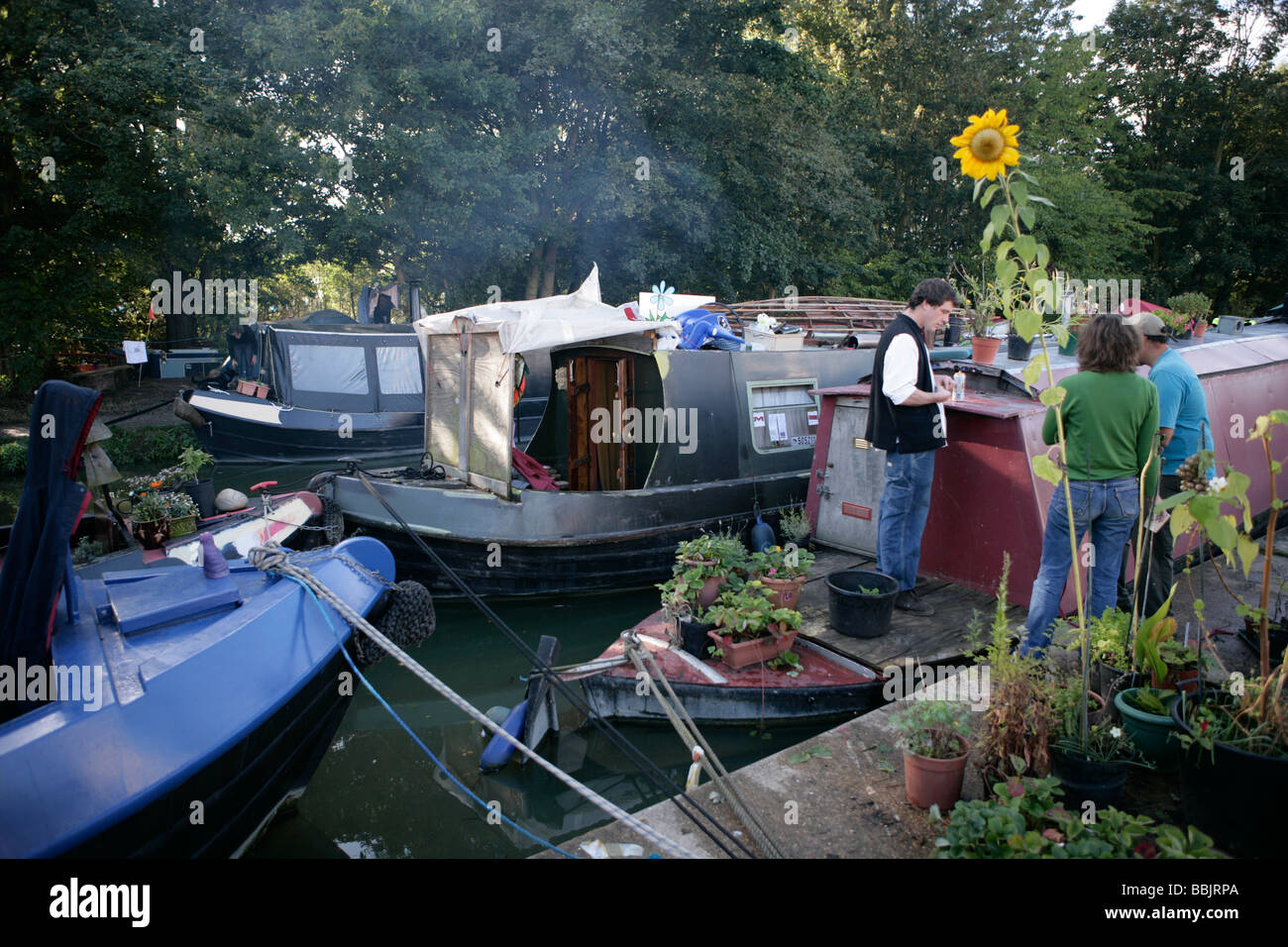 Canal boats gather at Castlemill boatyard Jericho Oxford Stock Photo ...