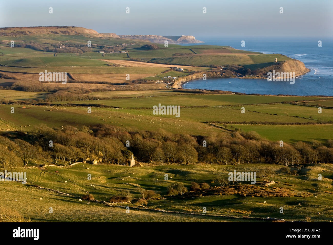 Winter sunshine looking east from Tyneham Cap, Dorset on the Jurassic ...