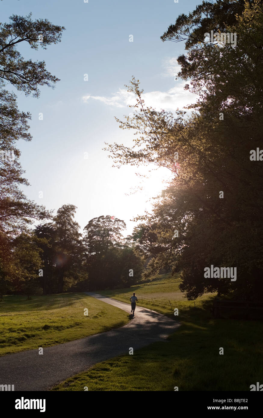 Runner in the Capability Brown designed gardens at Baroque style ...