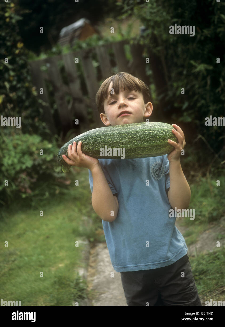 Young boy holding a marrow Stock Photo - Alamy
