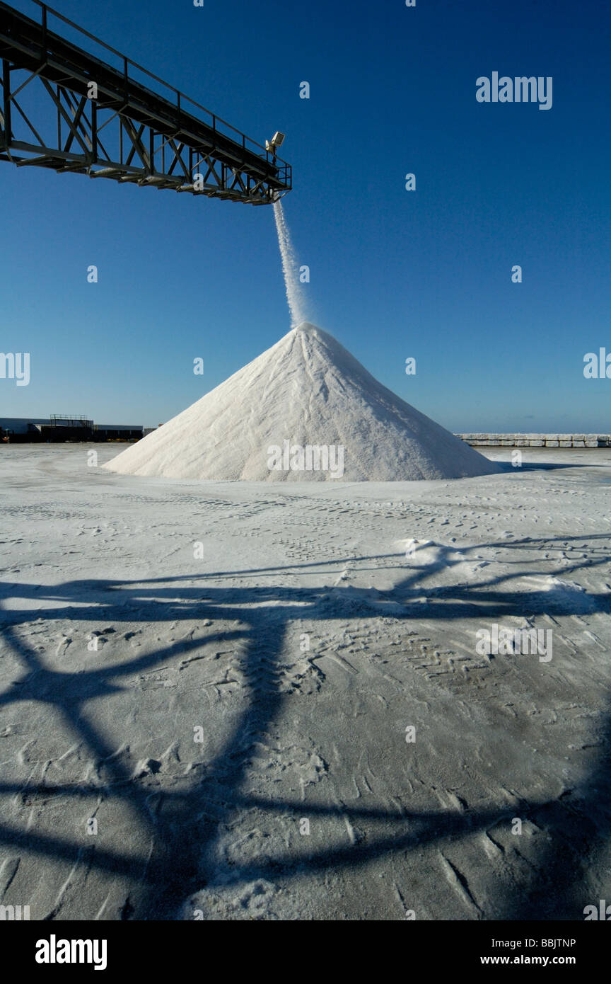 Raw salt harvested from sea water being stacked prior to processing ...