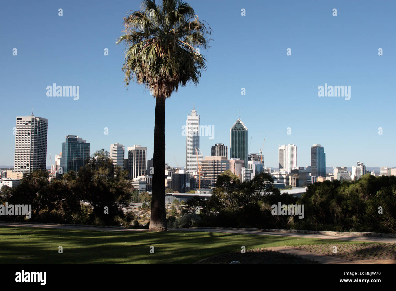 The Perth skyline viewed from Kings park in Western Australia Stock ...