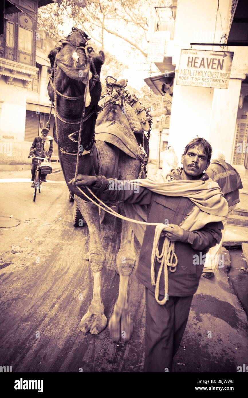 Man and his camel hi-res stock photography and images - Alamy