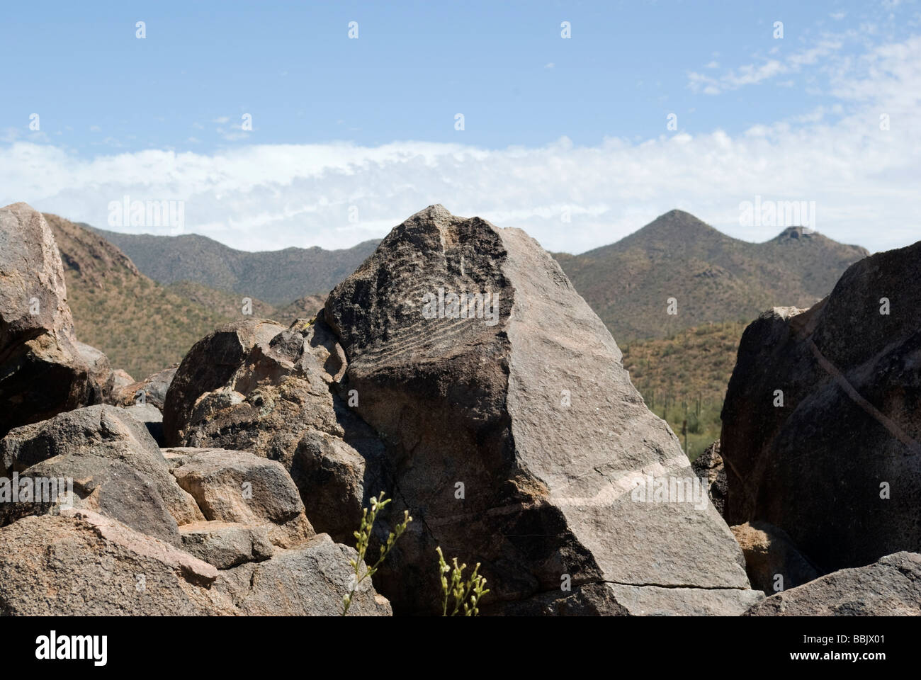 USA Arizona Tucson Signal Hill Petroglyph Saguaro National Park West ...