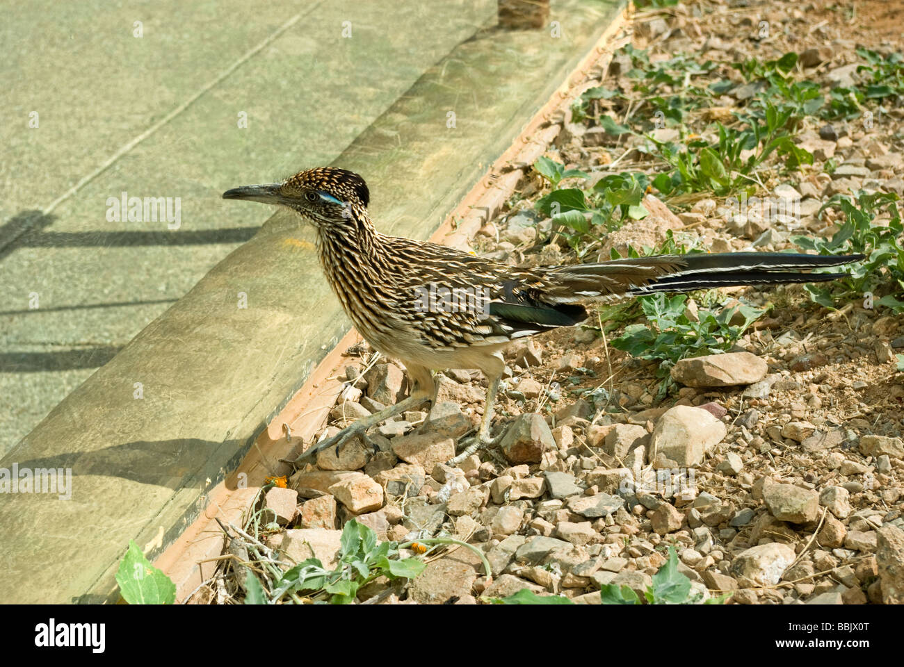 Tucson road hi-res stock photography and images - Alamy