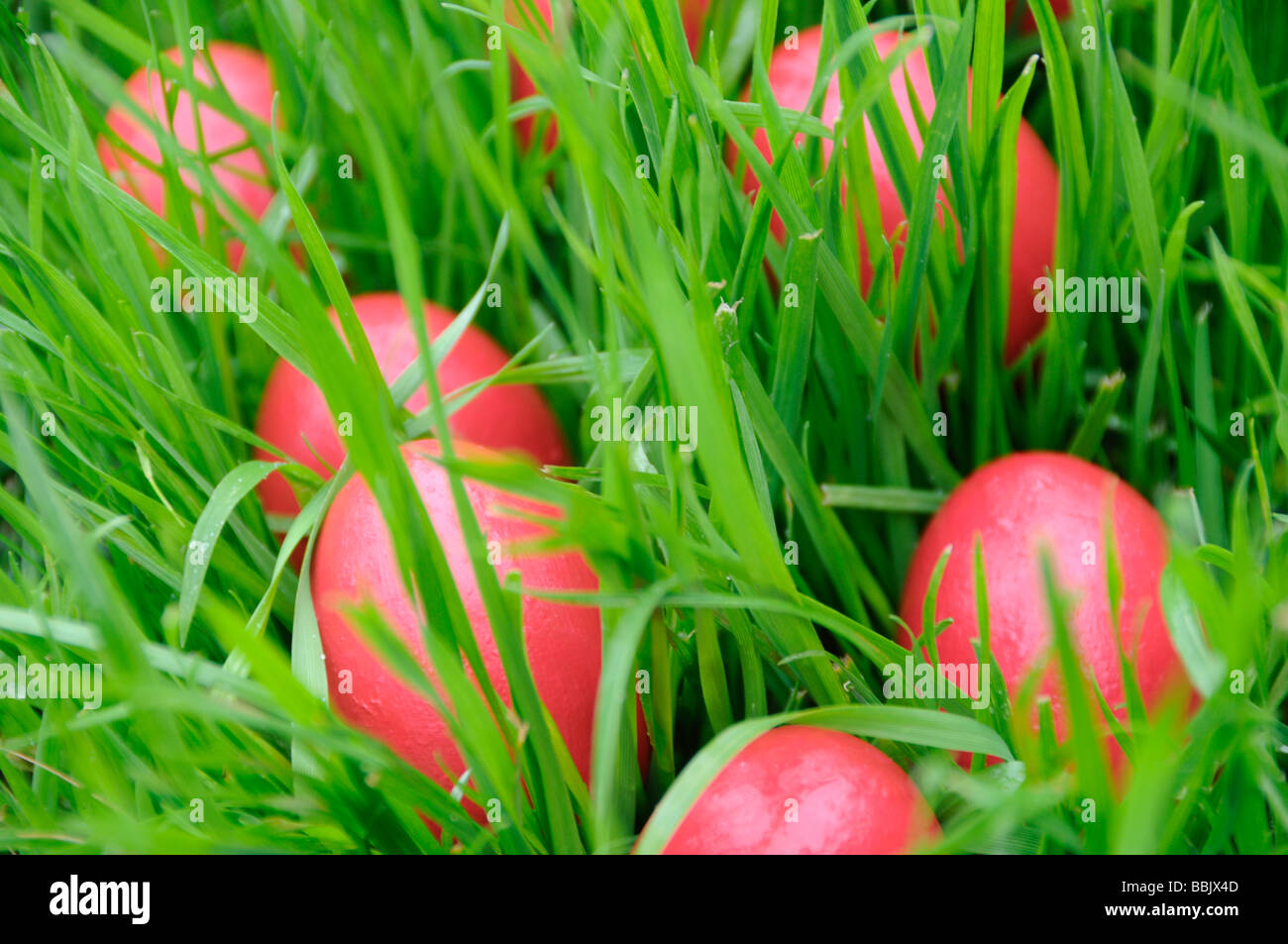 Easter frame shiny colorful hi-res stock photography and images - Alamy