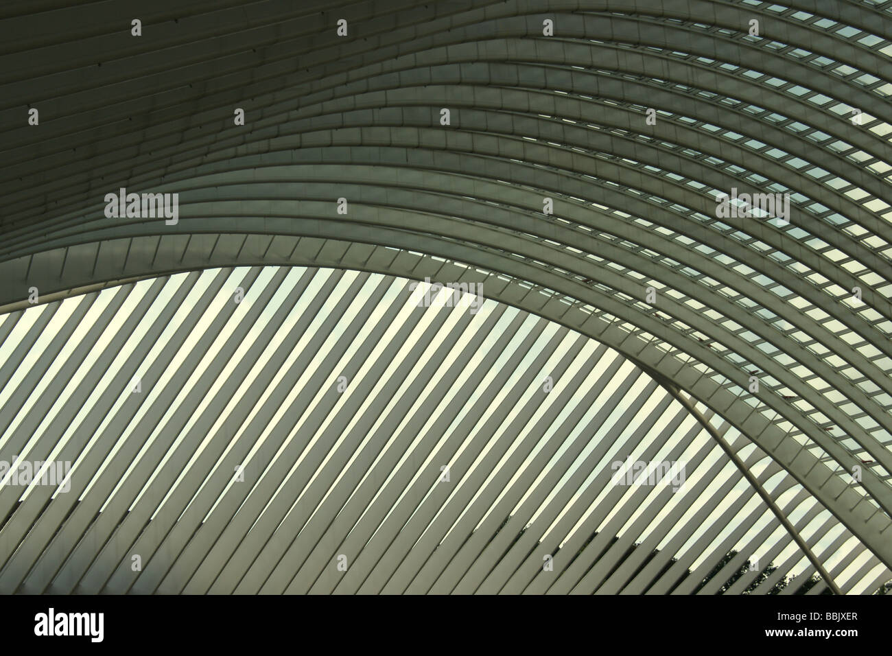 Santiago calatrava station liege hi-res stock photography and images ...