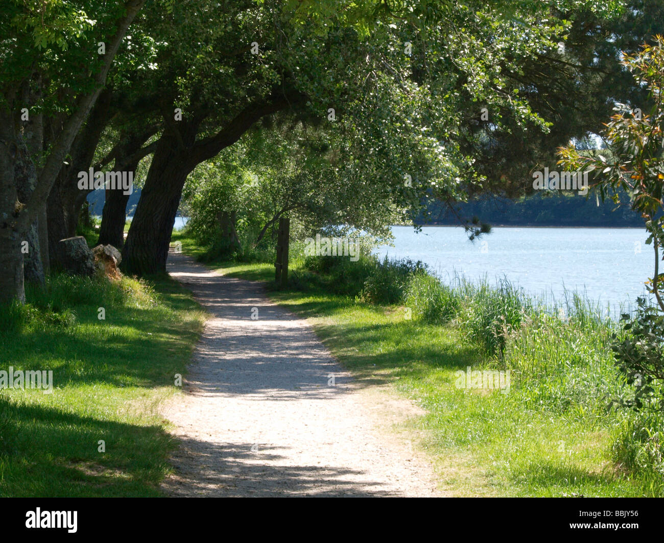 Atmospheric river walk hi-res stock photography and images - Alamy