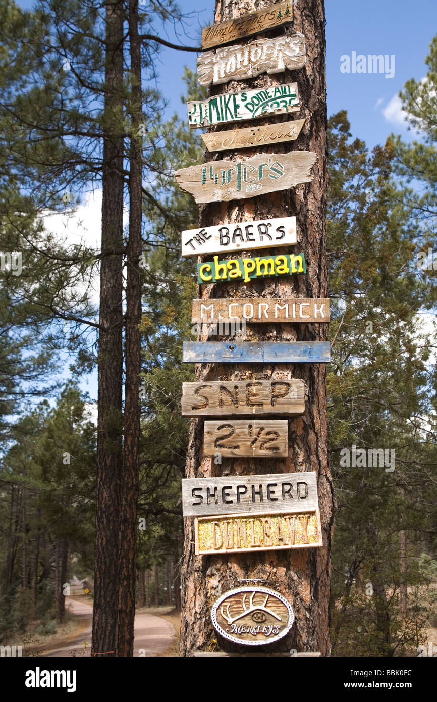 Camp signs on Tree Payson, Arizona Stock Photo - Alamy