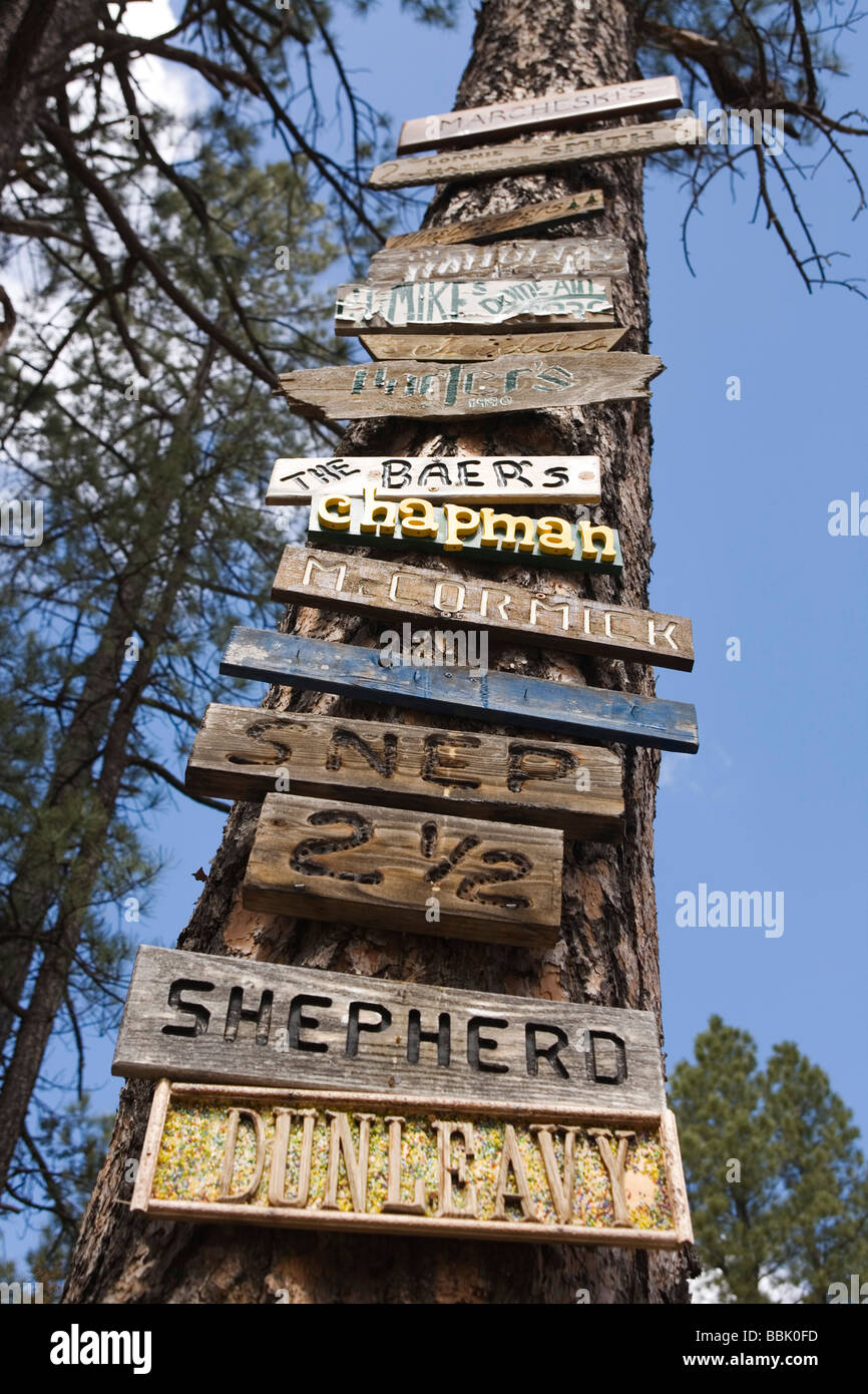 Camp signs on Tree Payson, Arizona Stock Photo - Alamy