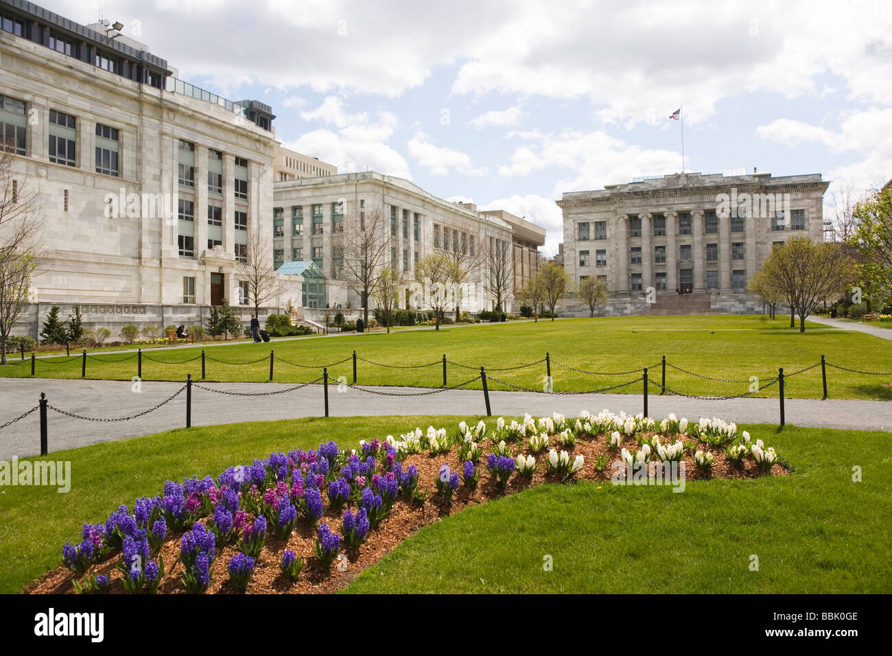 Harvard Medical School Boston Massachusetts Stock Photo - Alamy