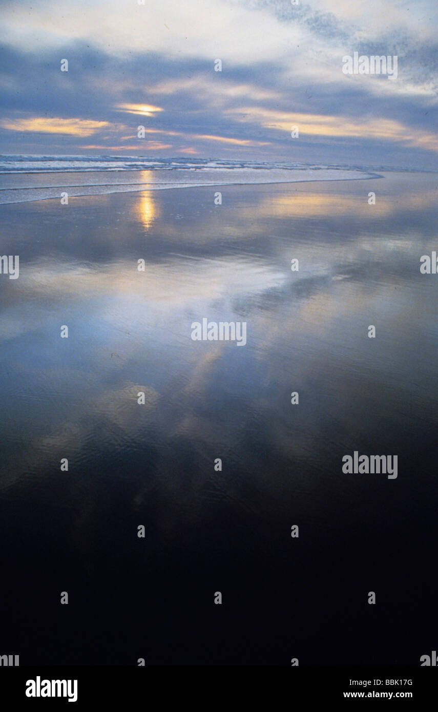 beach wet water glisten shine reflect sunset cloud sea ocean calm peace ...
