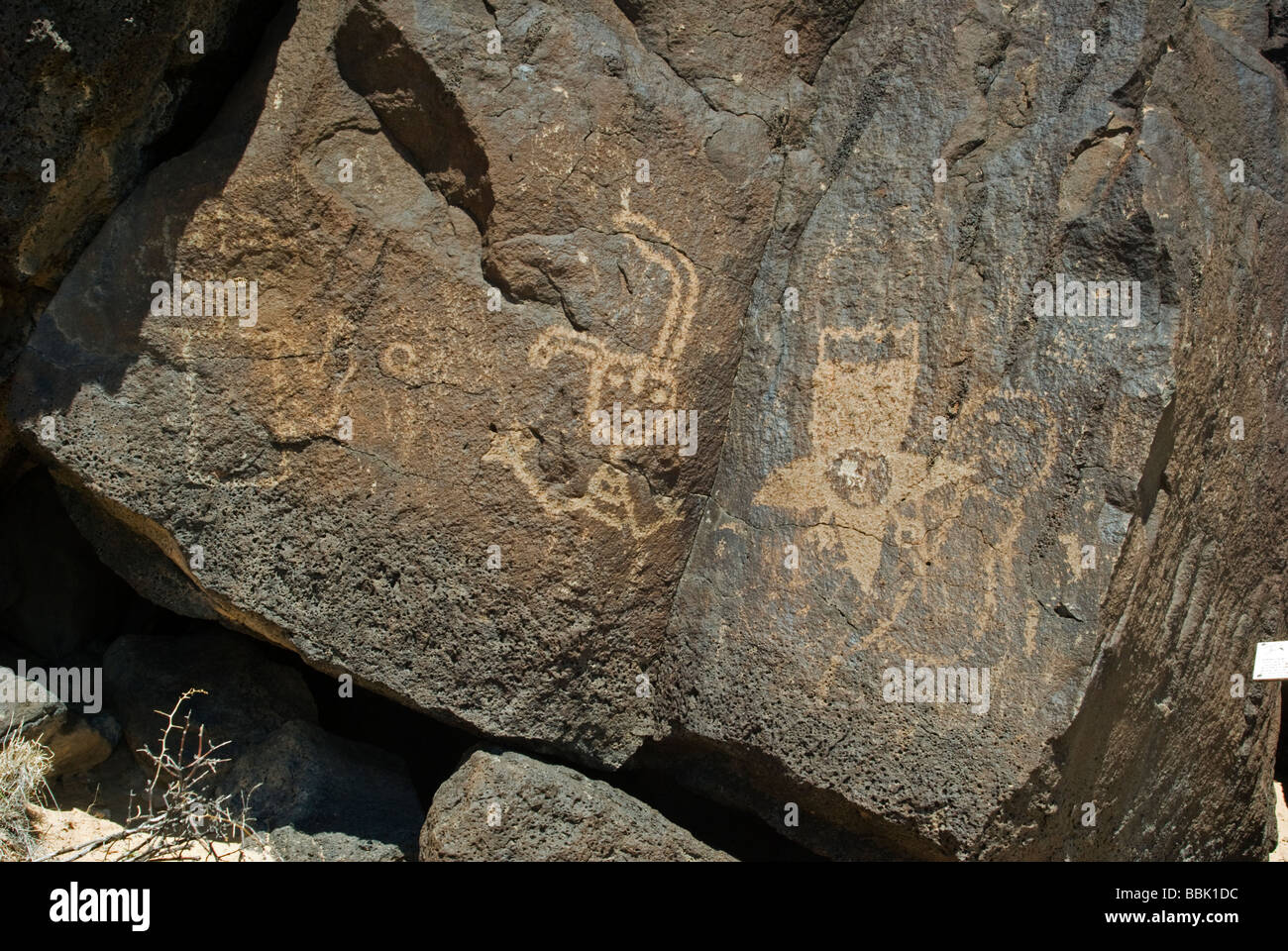 USA New Mexico Albuquerque Petroglyph National Monument variety of ...