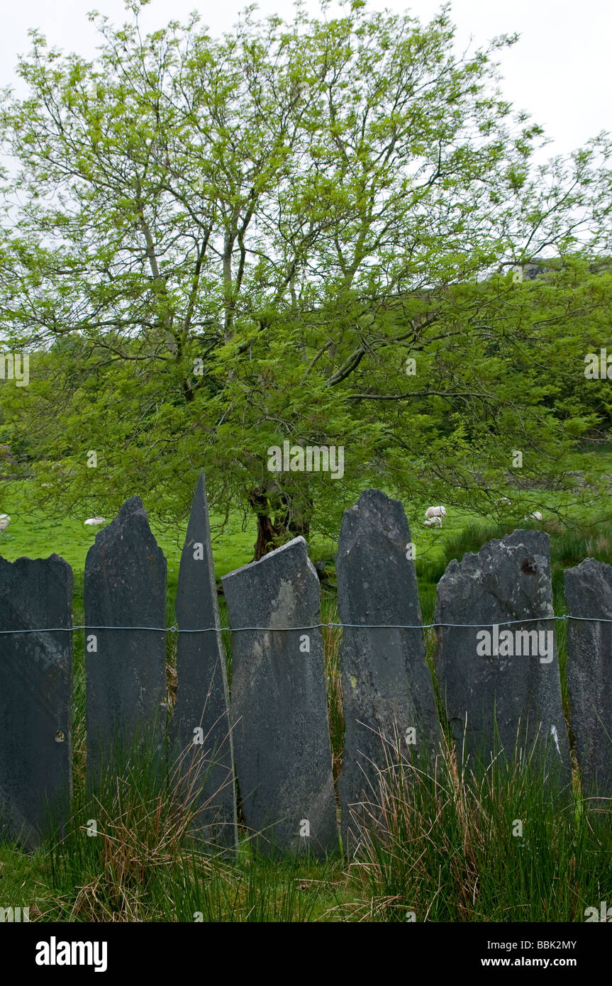 Traditional slate fence hi-res stock photography and images - Alamy