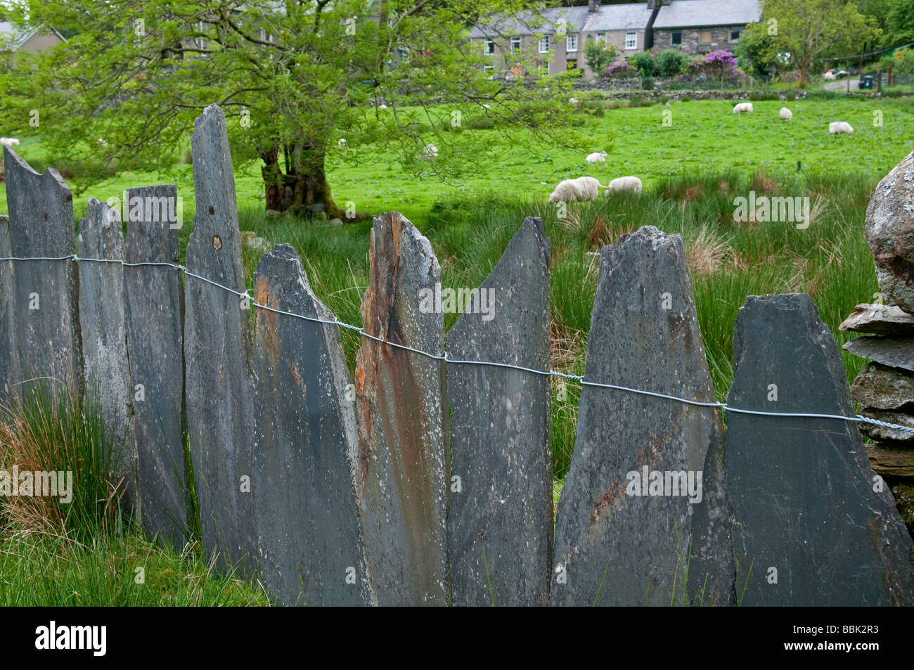 Welsh fence hi-res stock photography and images - Alamy
