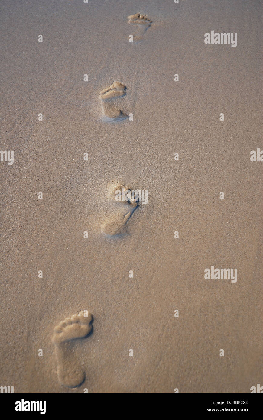 Leading footsteps hi-res stock photography and images - Alamy