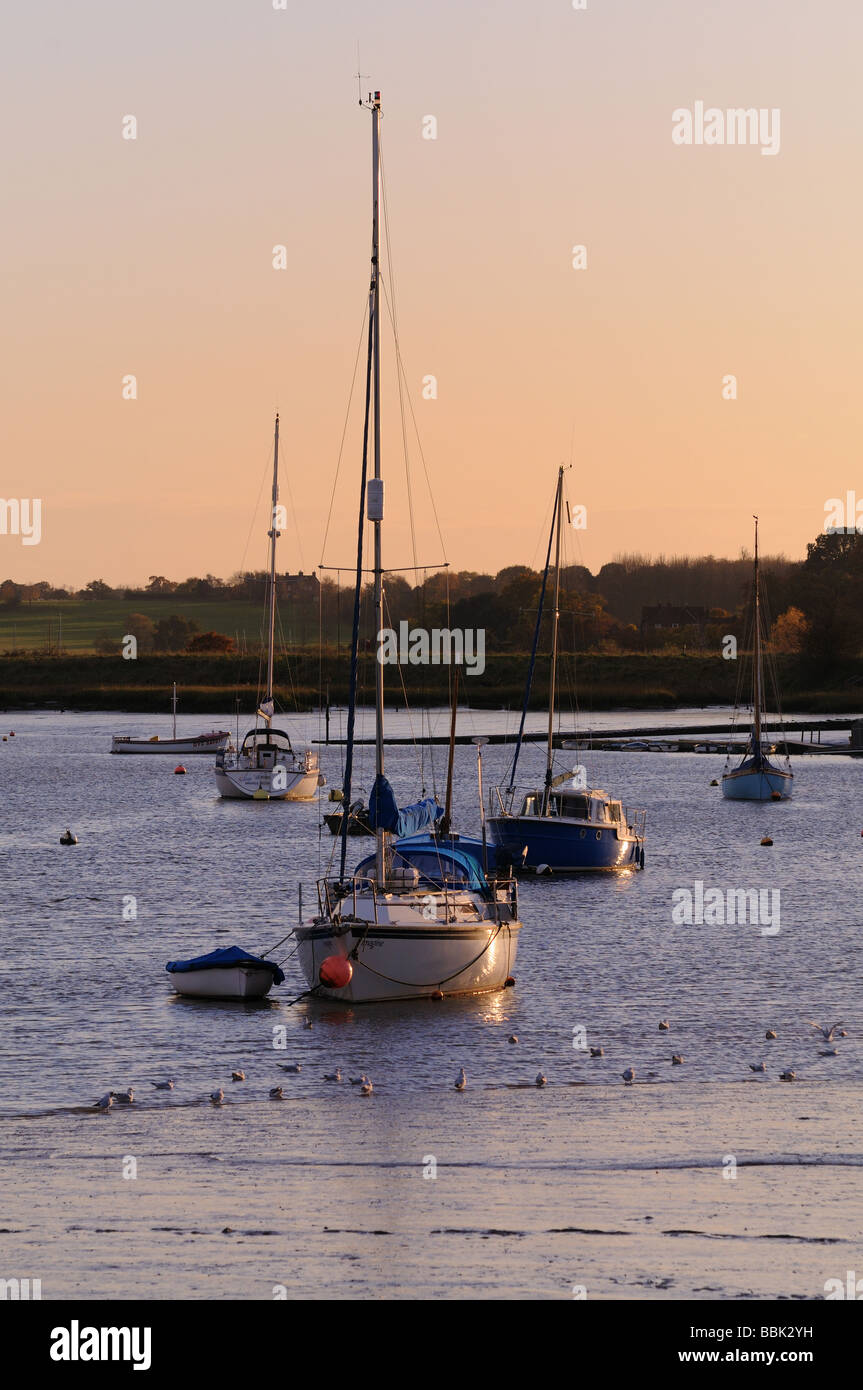 Boats on the RIver Deben Woodbridge Suffolk Stock Photo - Alamy