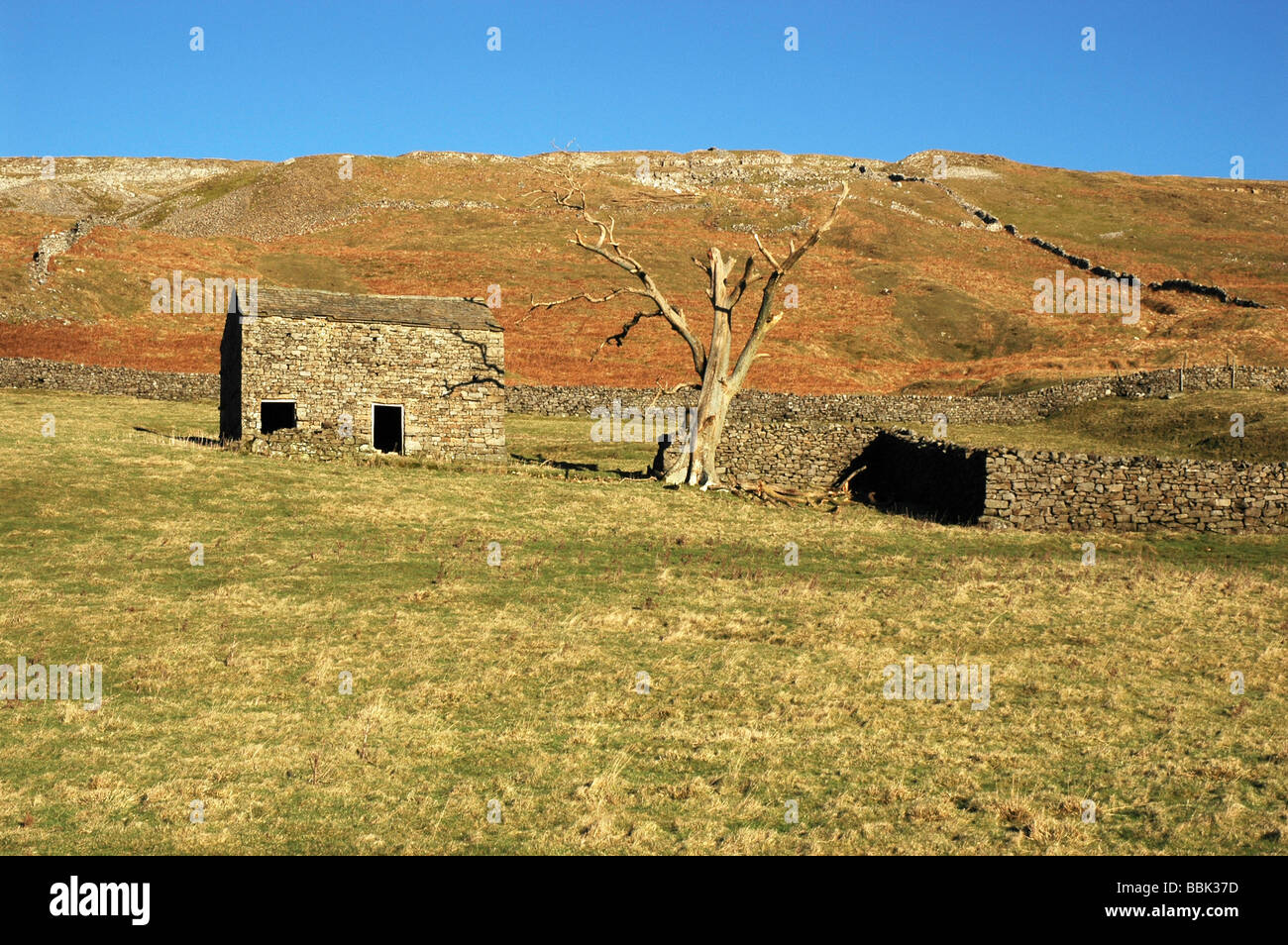 View near reeth north yorkshire england uk hi-res stock photography and ...