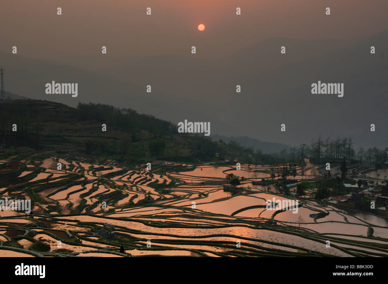 the Longshuba rice terraces at sunset at Yuanyang in Yunnan China Stock ...
