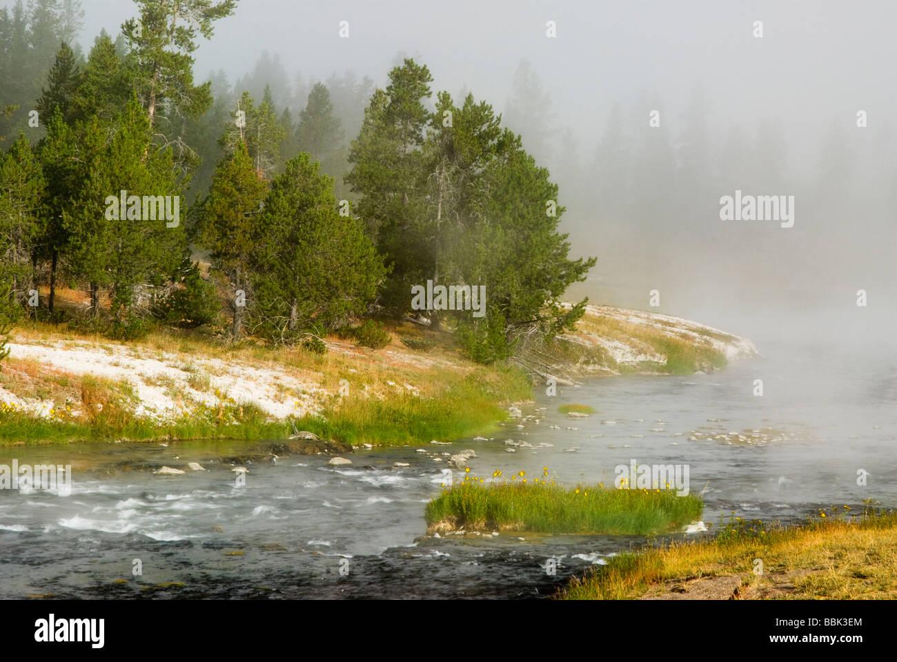 a foggy morning in Yellowstone National Park Stock Photo - Alamy