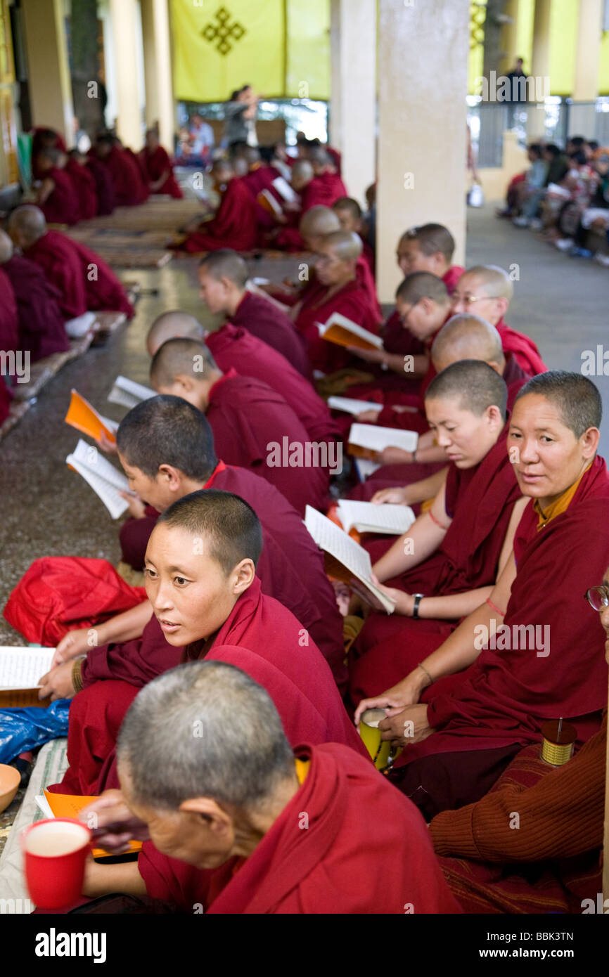 Buddhist monks reading the sacred texts. Tsuglagkhang temple. McLeod ...