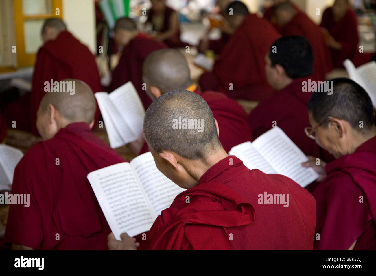 Buddhist monks reciting the sacred texts. Tsuglagkhang temple. McLeod ...
