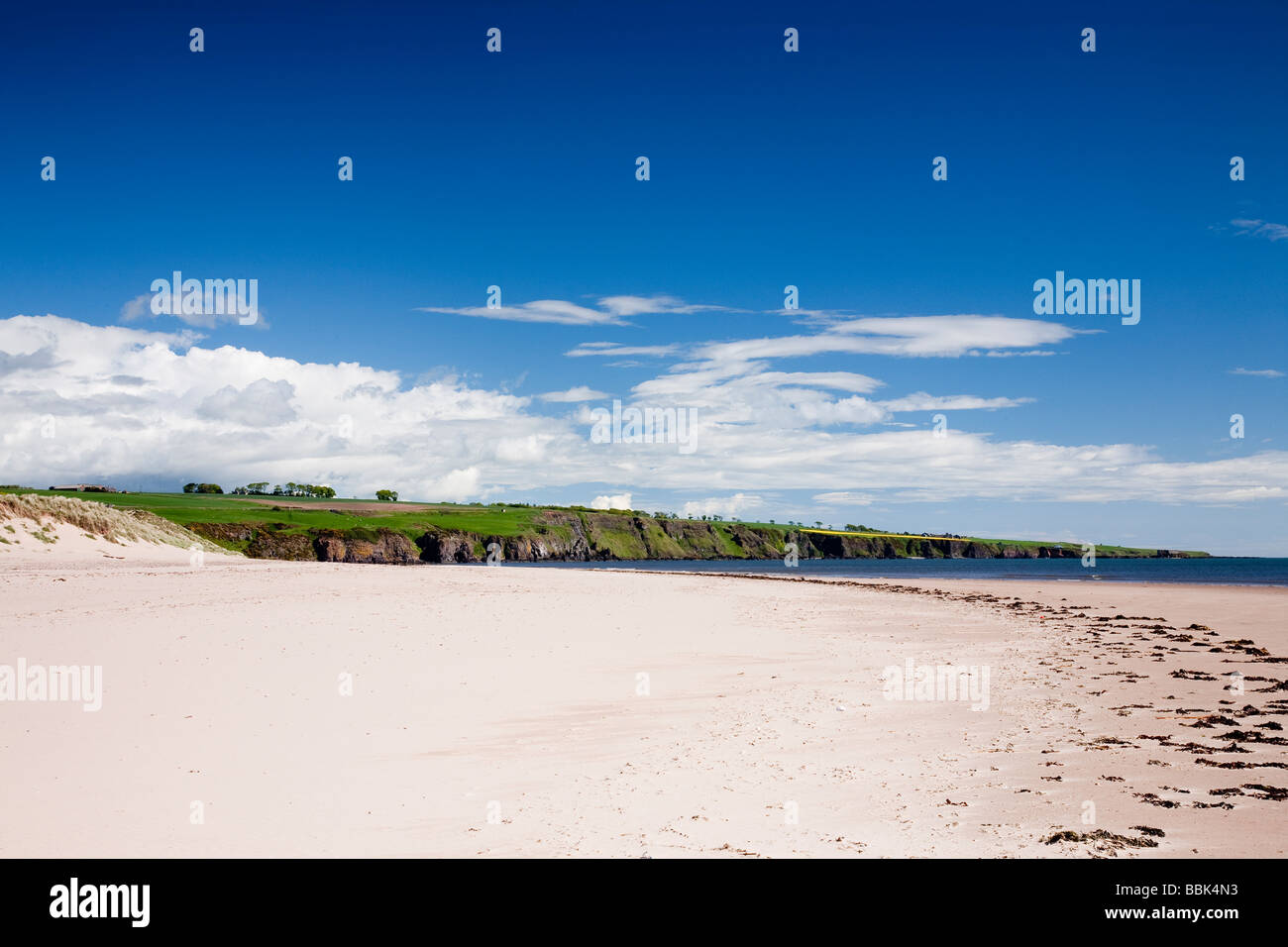 Lunan Bay, Angus, Scotland Stock Photo - Alamy