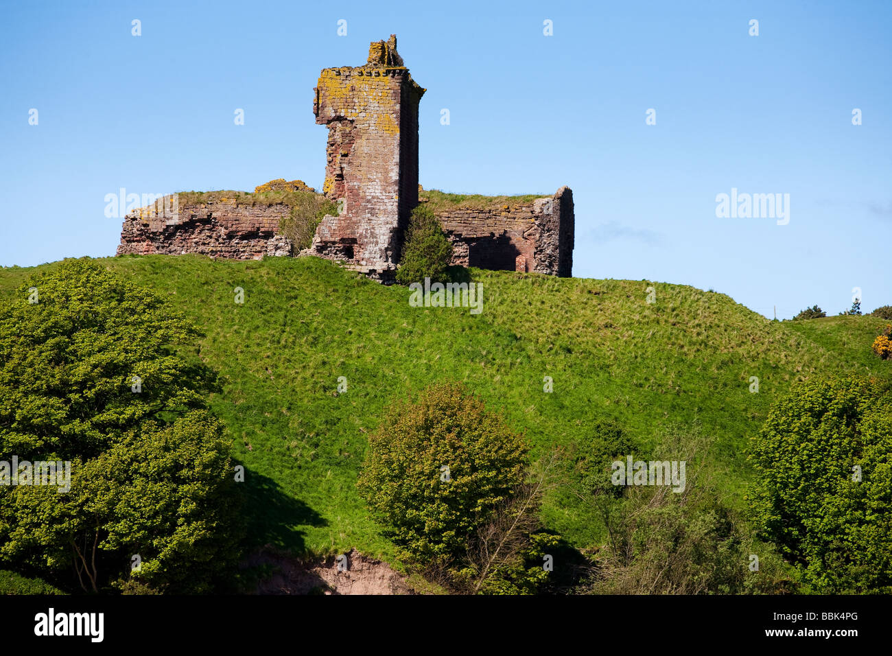 William the lion of scotland hi-res stock photography and images - Alamy