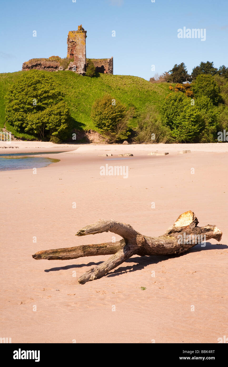 Lunan Castle, Montrose, Scotland Stock Photo - Alamy