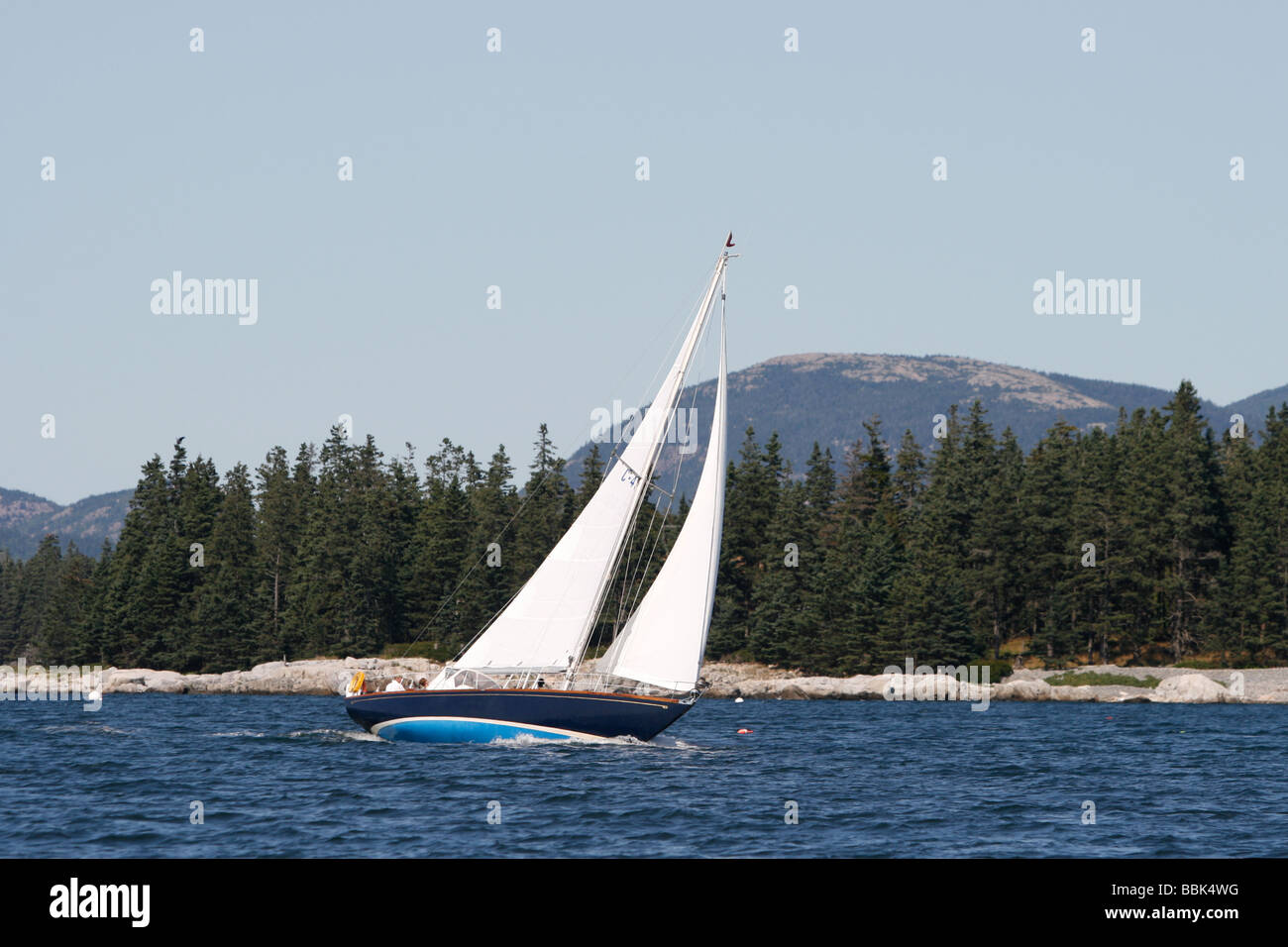 Cruising Sailboat near acadia national park maine Stock Photo - Alamy