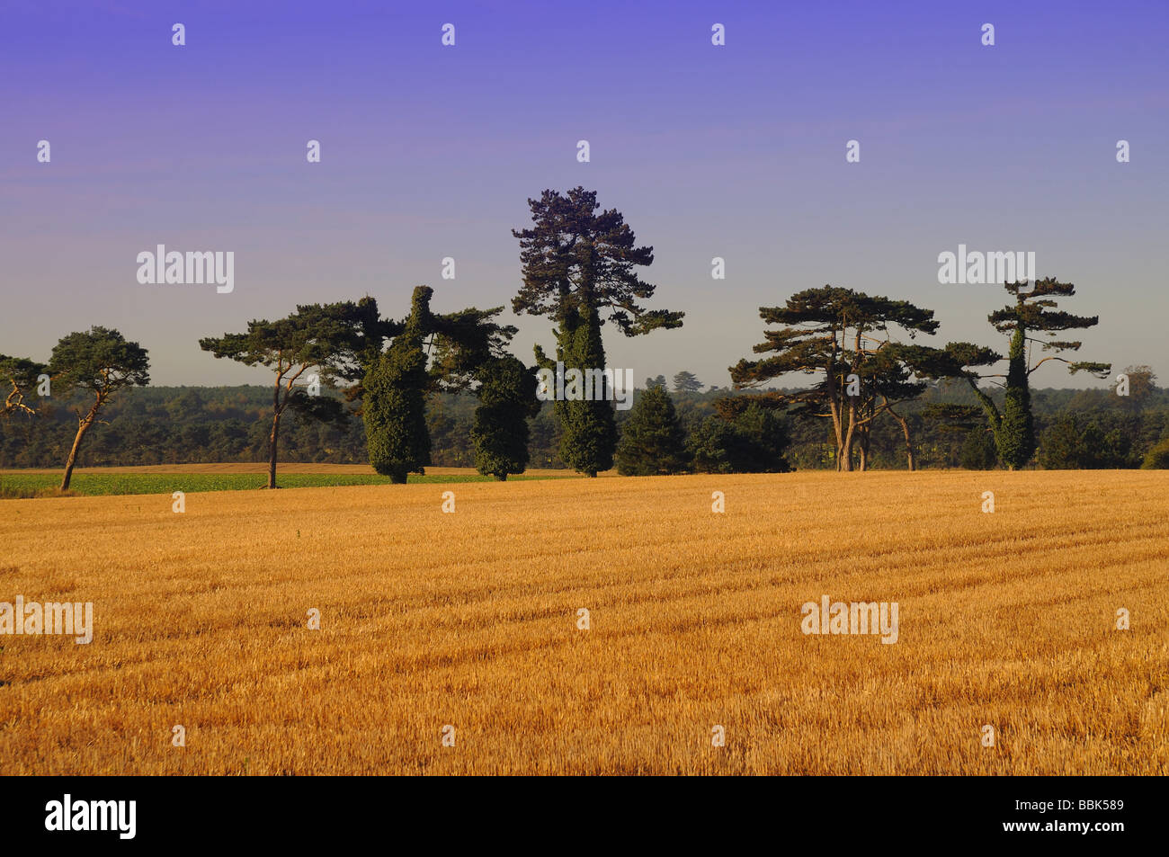 Suffolk scenic hi-res stock photography and images - Alamy