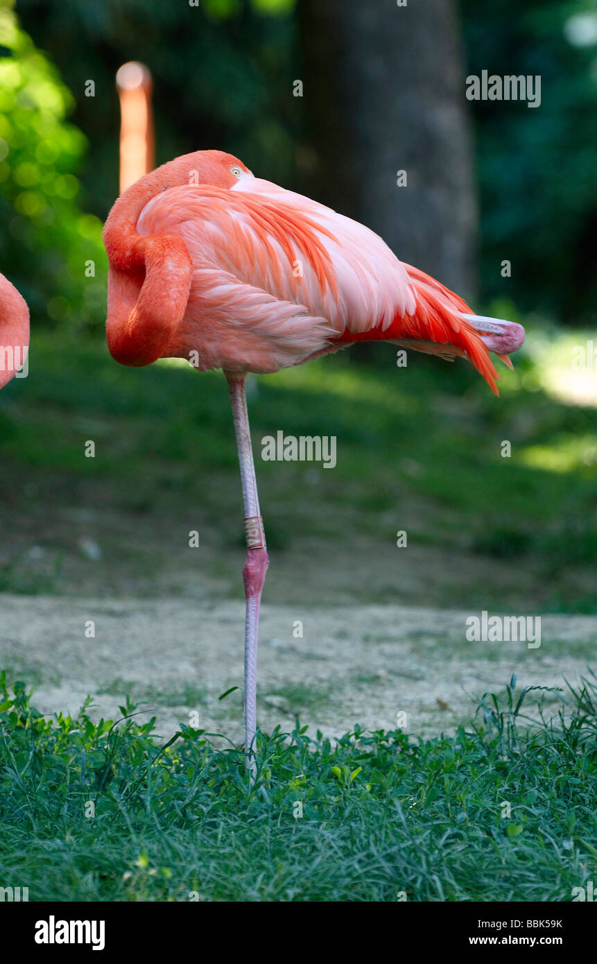 Greater vienna hi-res stock photography and images - Alamy