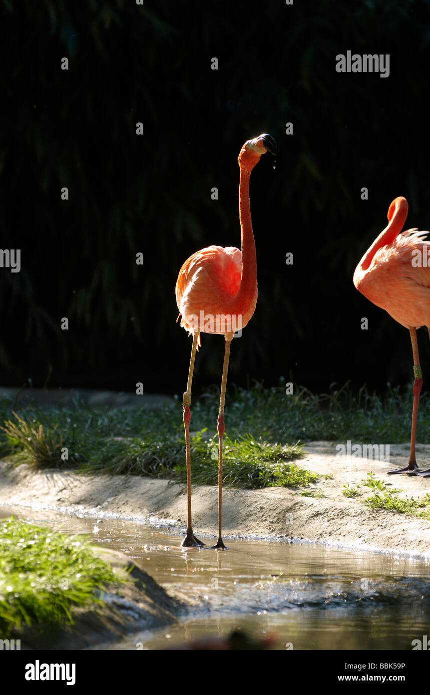 Greater vienna hi-res stock photography and images - Alamy