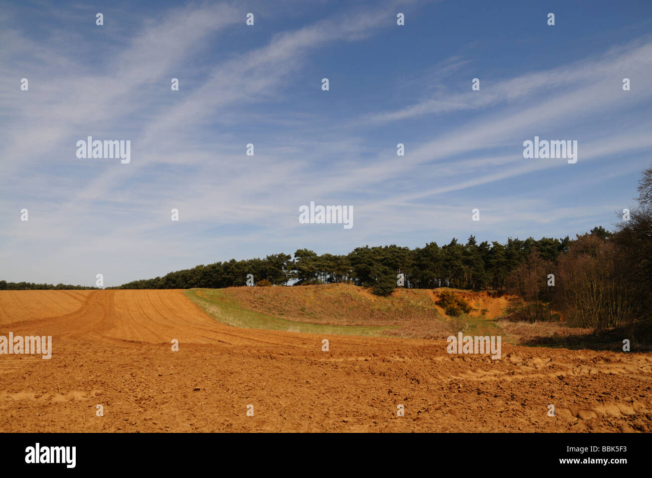 Suffolk landscape fields hi-res stock photography and images - Alamy