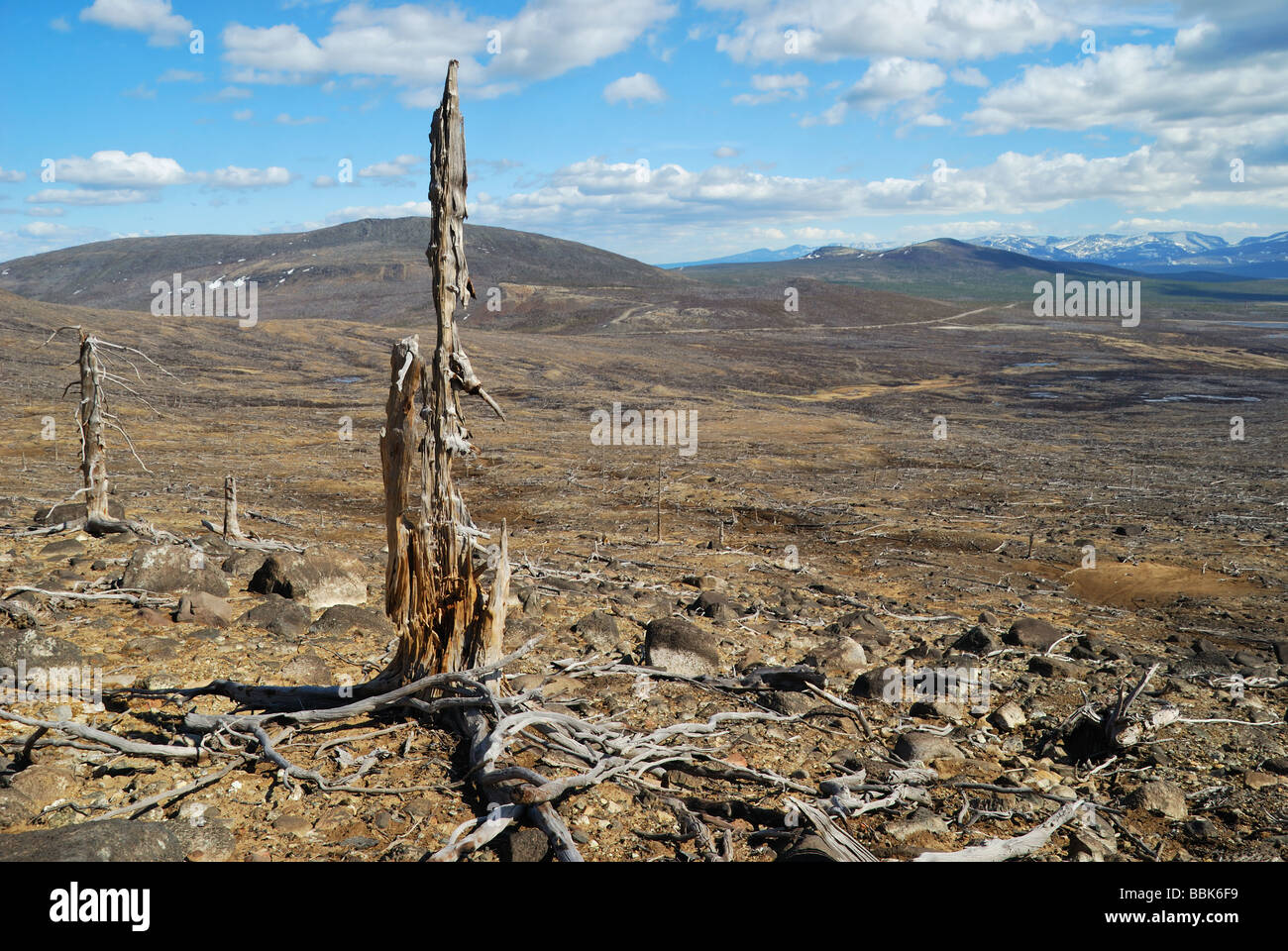 Deforestation erosion hi-res stock photography and images - Alamy