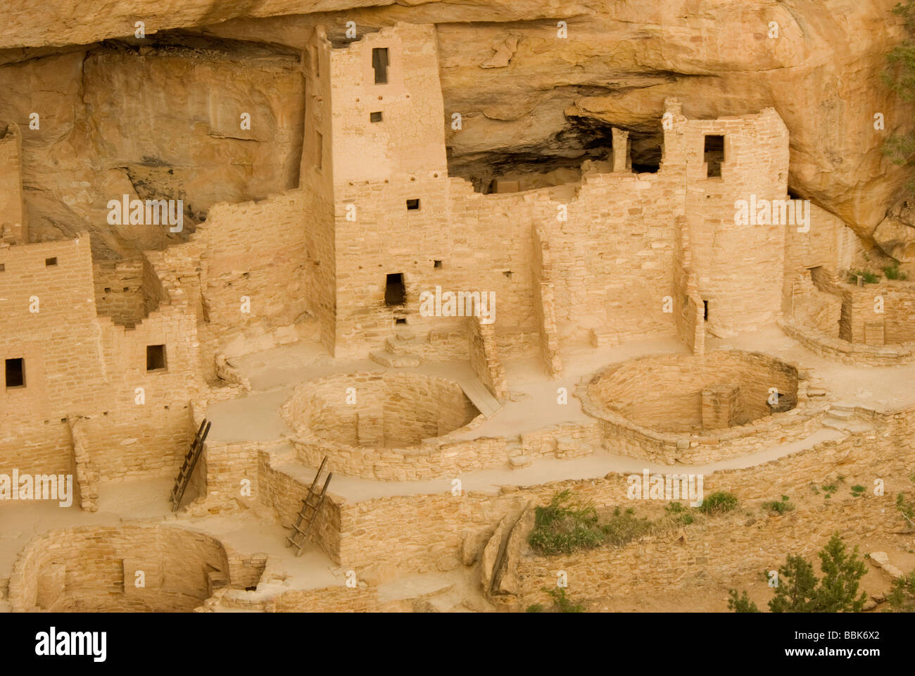 USA Colorado Cortez Mesa Verde National Park Cliff Palace 12 century ...