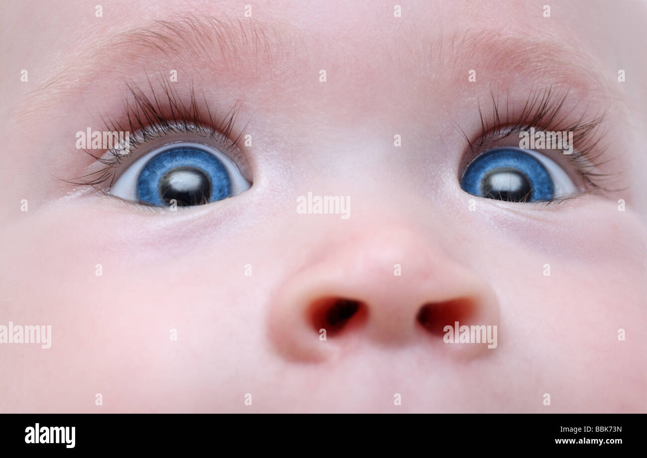 baby blue eyes with long eyelash close up Stock Photo - Alamy