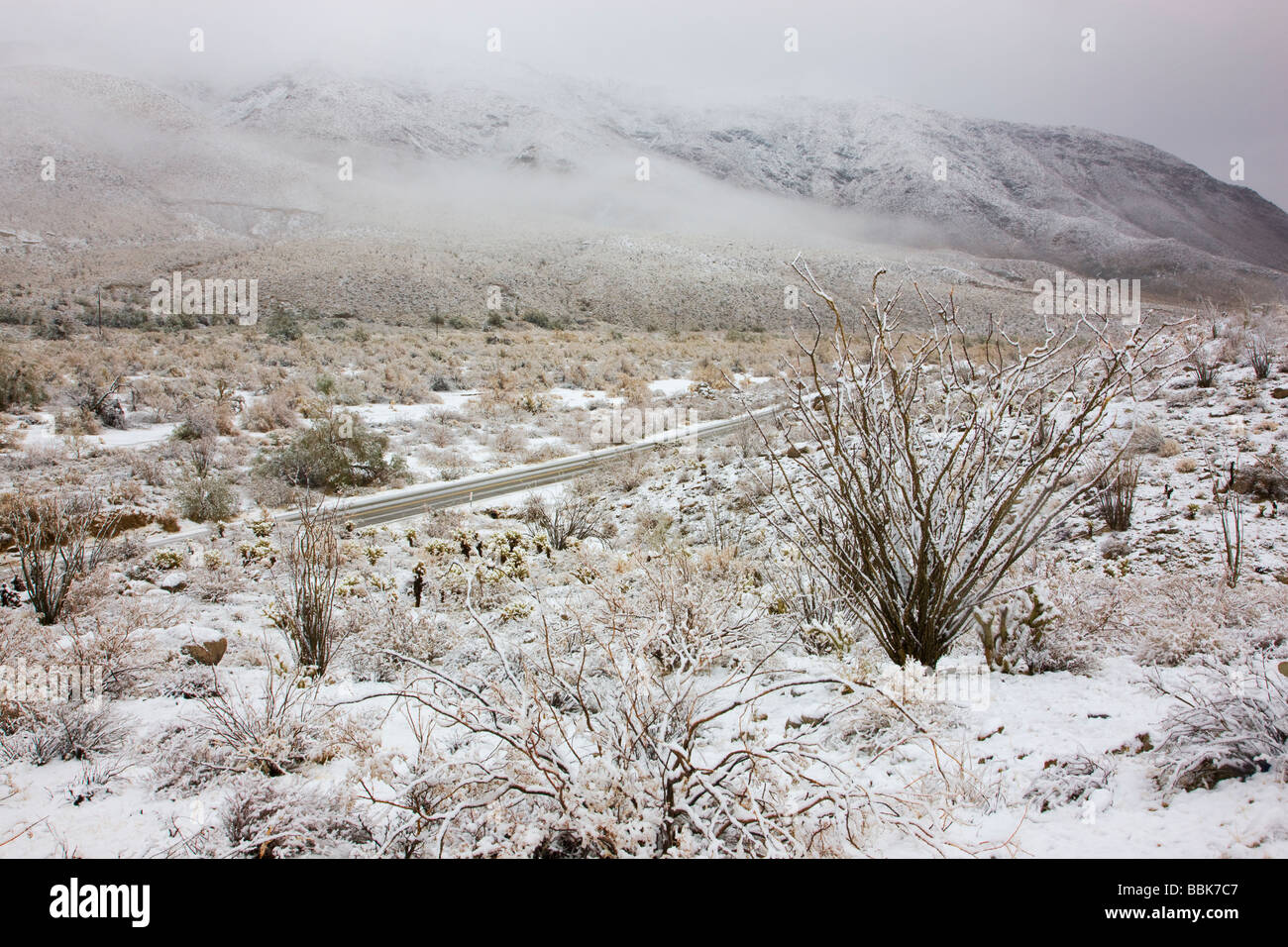 Sonoran desert snow hi-res stock photography and images - Alamy