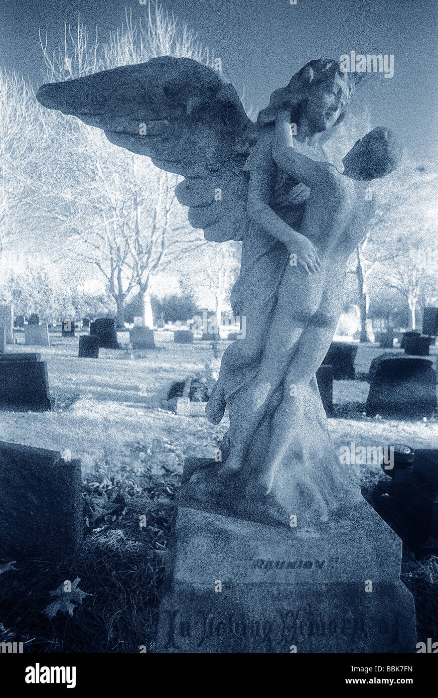 Statue Angel Cemetary Grave Graves Blue Toned Black White God Religion ...